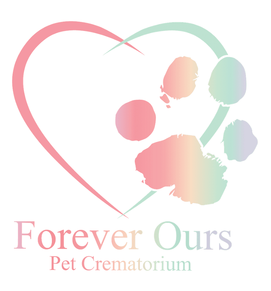 Home Page | Forever Ours